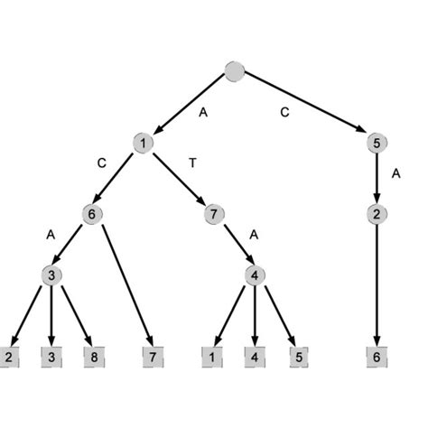 Left Overlap Graphs For Example 1 Round Nodes Are The Elements Of Ov Download Scientific