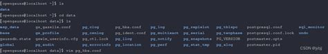 Vmware虚拟机安装openeuler服务器opengauss数据库，主机连接vmware Opengauss Csdn博客