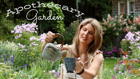How To Start An Apothecary Garden For Beginners Growing Your Own