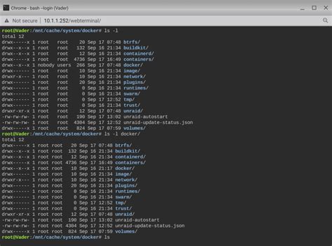 docker file path question r unraid