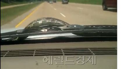 시속 100km 달리는 승용차 앞유리에 뱀 출현 경악