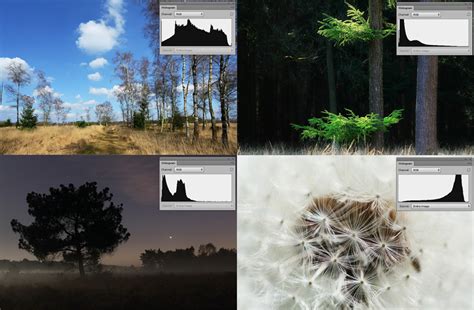 Use The Histogram On Your Camera To Your Advantage Fstoppers