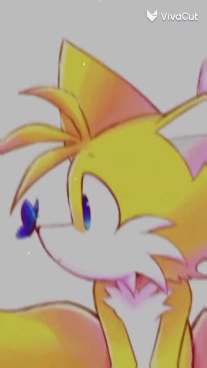 Sontails 💙💛🦔♥️🦊 Sontails Youtube