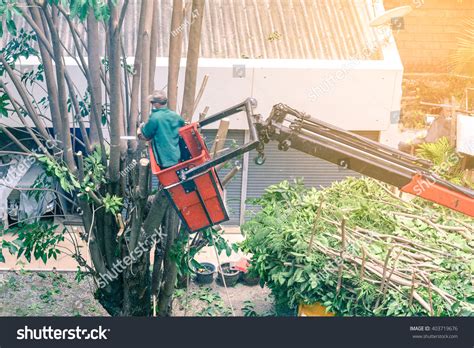 Gardener Pruning Tree Chainsaw On Crane Stock Photo 403719676 Shutterstock