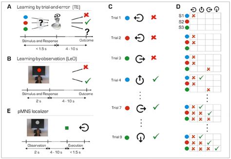 Fmri Task Design A Learning By Trial And Error Te A Trial