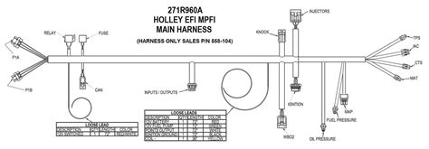 Holley Dominator Wiring Diagram Wiring Flash