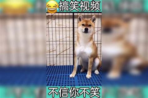 笑一笑十年少 看一遍笑一遍 每日一笑
