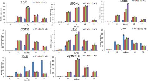 Real Time Quantitative Pcr Validation Of Rd22 Rd29a Rab18 Cor47 Download Scientific Diagram