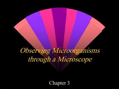 Observing Microorganisms Through A Microscope