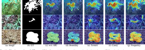 Figure 10 From Adaptive Guidance Learning For Camouflaged Object Detection Semantic Scholar