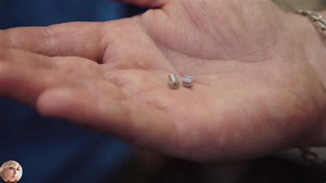 The Curse Of Oak Island S