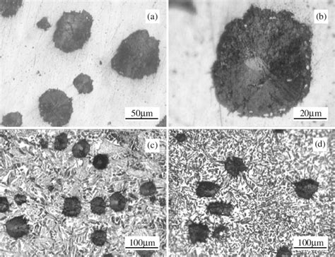 Microstructure Of The Ductile Iron Material A As Cast B As Cast C Download Scientific