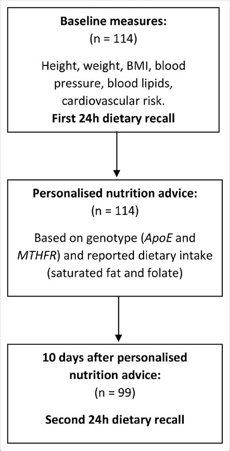 Study Design Flowchart Bmi Body Mass Index Apoe Apolipoprotein E