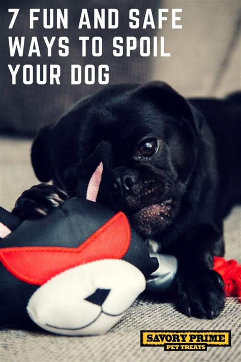 7 Fun And Safe Ways To Spoil Your Dog 1 Savory Prime Pet Treats