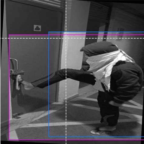 Thief Detection Dataset Kaggle