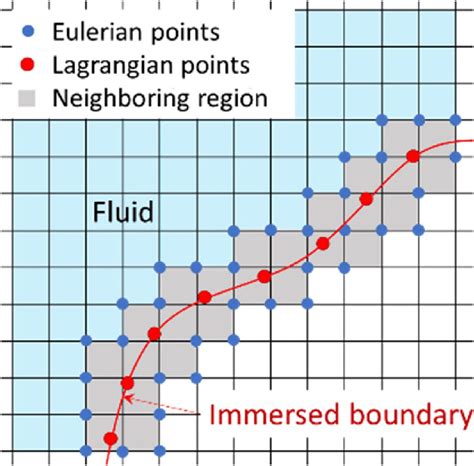 Representation Of The Background Eulerian Mesh Lagrangian Points And Download Scientific