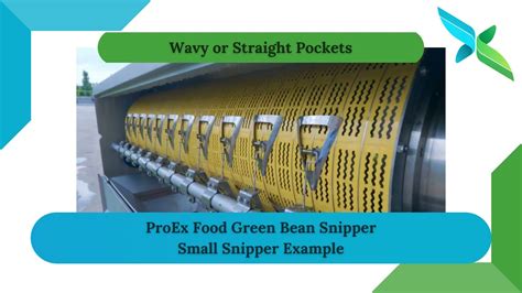 Proex Food Green Bean Processing Line Small Snipper Youtube
