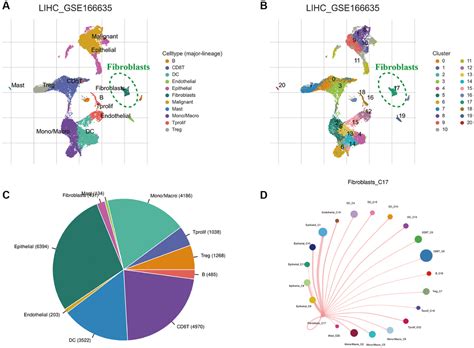 Identification And Validation Of A Cancer Associated Fibroblasts Related Scoring System To