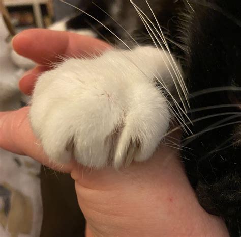 I Wanna Hold And Bite Your Hand Rmurdermittens