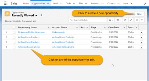 How To Create An Opportunity In Salesforce Salesforce Faqs