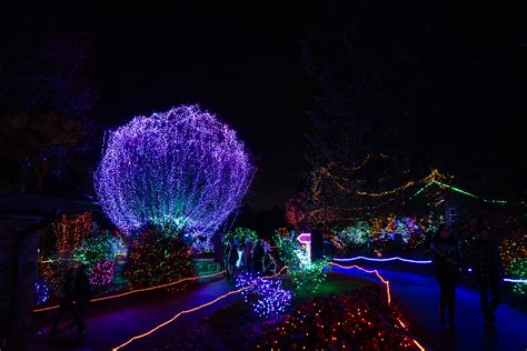 Photos Zoolights Twinkles Bright At Tacomas Point Defiance Zoo And Aquarium