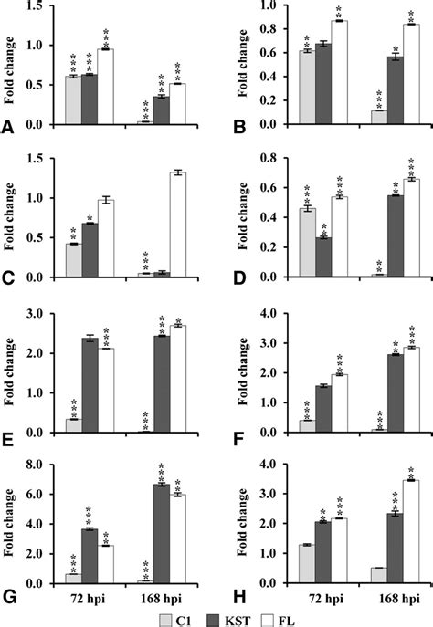 Relative Quantification Rq Of Mrna Levels Eight Candidate Genes Download Scientific Diagram