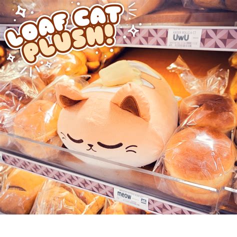 Loaf Cat Plush Display Box 0 Fox Shop