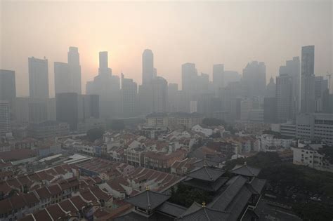 미세먼지 자동차 배기가스로 인한 환경오염 네이버 블로그