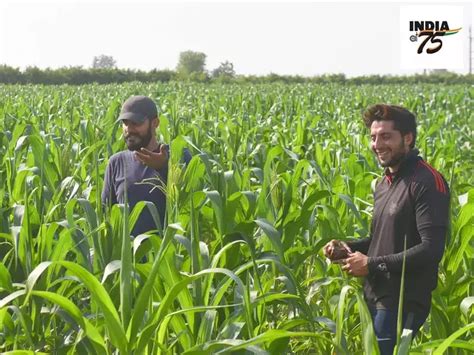 How India Can Create Opportunities For Its New Age Farmers Modern Agriculture India