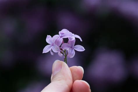 Synergetic Play Therapy A Research Informed Model Of Play Therapy