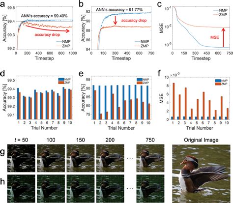 Simulation Results According To The Simulation Timestep A In Mnist Download Scientific