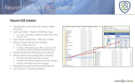 Introduction To Neuron Esb