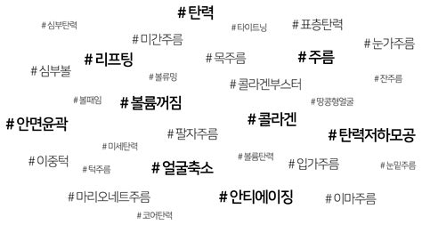 탄력 · 리프팅 · 안티에이징 애플피부과의원 The Lounge A