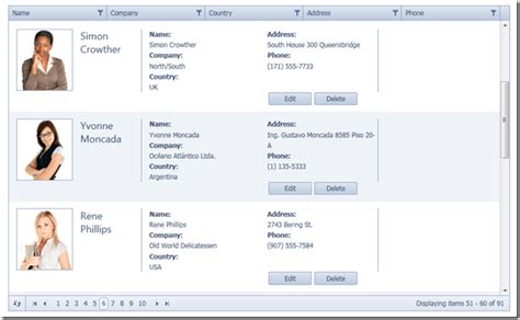 Telerik Mvc Q2 2011 Beta Bits