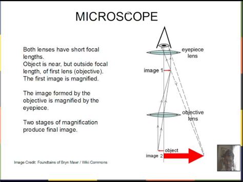 Convex Lens Microscope