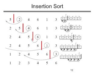 ShareCod Contoh Program Selection Sort Insertion Sort Bubble Sort