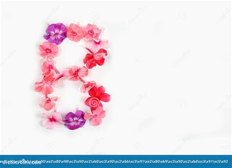 Letra B Hecha Con Flores Frescas Reales Concepto De Fuente Floral