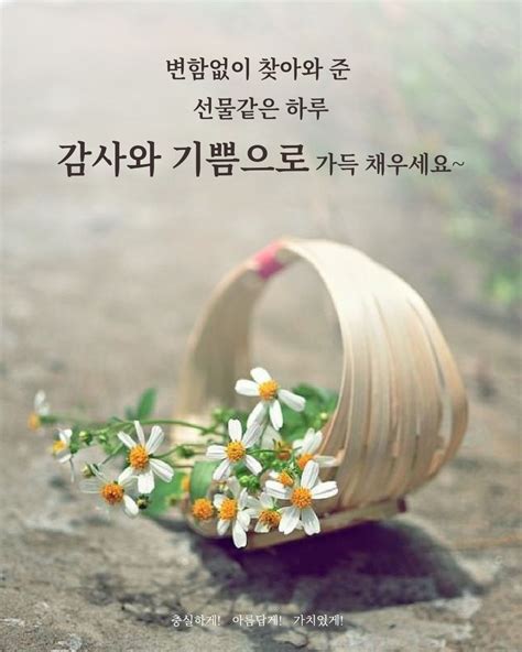 감사와 기쁨으로 감사와 안부 감사의 힘 Joyandgratitude 감사와기쁨으로에 있는 Mi Eun Kim님의 핀 좋은 아침 인사 좋은 아침 이미지 아침 인사