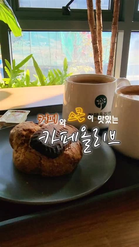 진주미식탐험 진주 맛집•카페•여행 핫플 진주평거동카페 슬로우비 1주년 경남 진주시 신평공원길 35 1 1층 📢📢