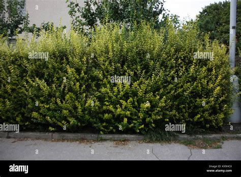 This Line Represents A Web Development Or Coding Reference Likely Pointing To An Html Element