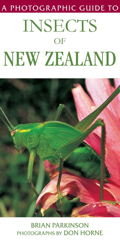 Photographic Guide To Insects Of New Zealand Scorpio Books