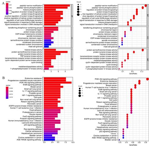 Enrichment Analysis Of The 32 Genes By Go And Kegg A Go Functional Download Scientific