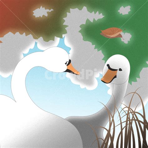 동화 동화일러스트 미운아기오리 백조의호수 백조 사진이미지일러스트캘리그라피 Ncraemobir작가