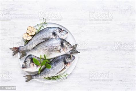 흰색 나무 배경에 접시에 네 신선한 로얄 도라데 건강한 음식 개념 상단 보기 복사 공간 4가지 개체에 대한 스톡 사진 및 기타 이미지 Istock