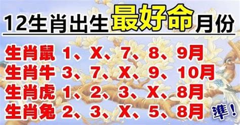 12生肖出生在哪些月份最好命