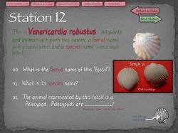 Fossil Lab Gonyoscience