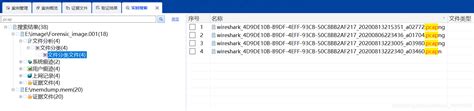 Ctf Misc 2021祥云杯初赛 层层取证 Csdn博客 Ctf Misc 2021祥云杯初赛 层层取证 Csdn博客