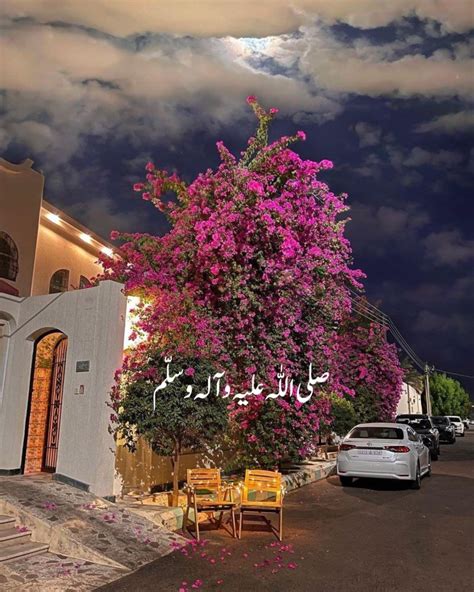 muneeb shahzad posted on linkedin