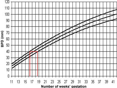 Accuracy Of Bpd For Dating The Pregnancy