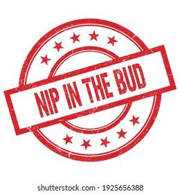 Nip Bud Images Stock Photos Vectors Shutterstock